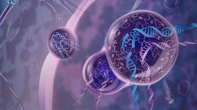 Nup98 Protein Protects DNA During Repair, Preventing Cancer ...