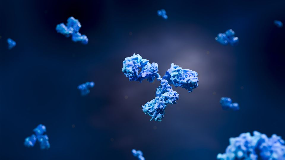 Antibody Screening Transformed by Deep Learning | Technology Networks