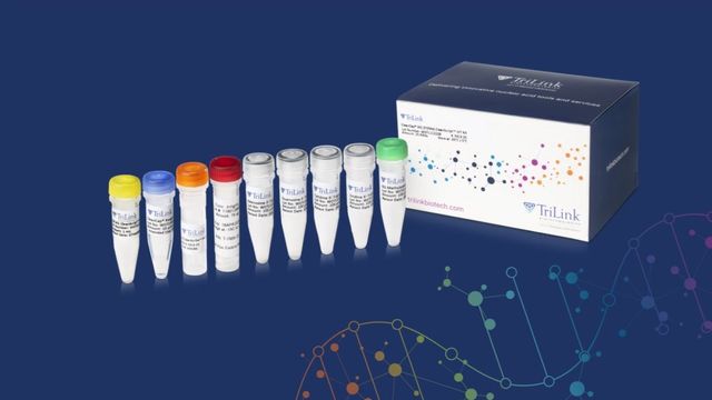 CleanCap IVT kit for high yield low dsRNA | Technology Networks