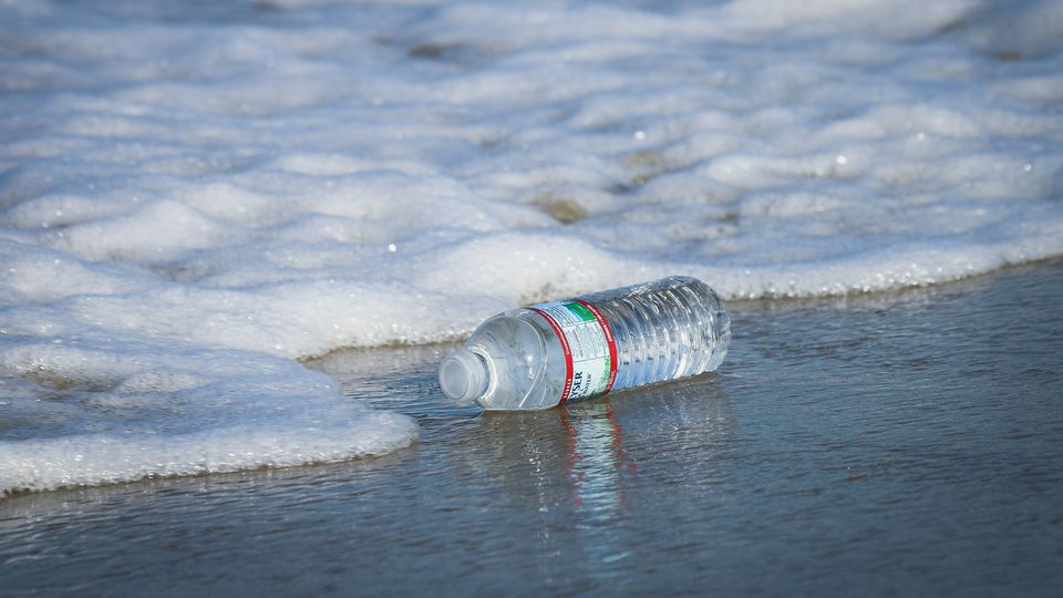A Stronger, Biodegradable Alternative to Plastic | Technology Networks
