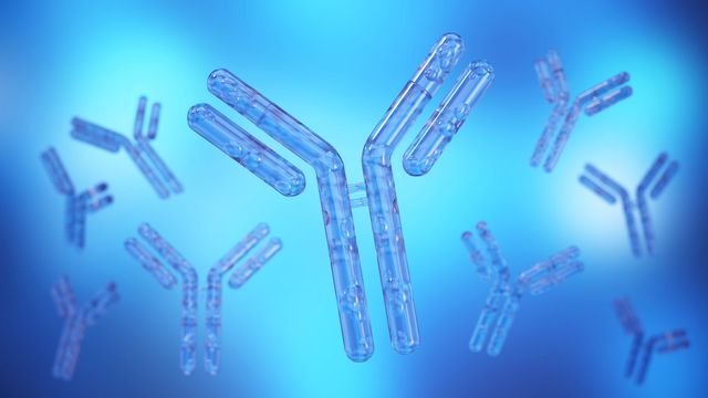 High Productivity CHO System for Continuous Antibody Supply ...