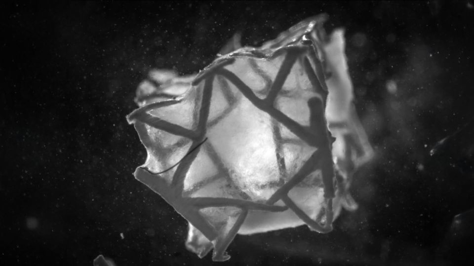 New Heart Patch Integrates with Cardiac Tissue | Technology Networks