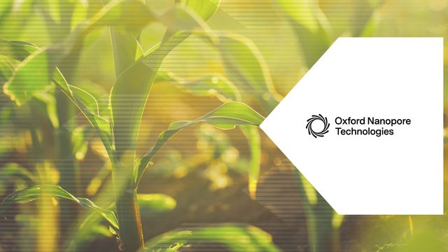 Agrigenomics: Real-Time Pathogen Surveillance in Crops | Technology ...