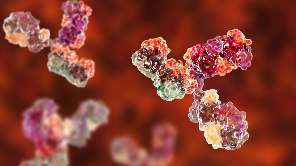 Antibodies Block Chagas Parasite in Vaccine Study | Technology Networks