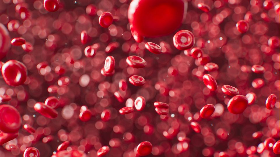 IBD Blood Clot Risk Linked to Missing Protein | Technology Networks