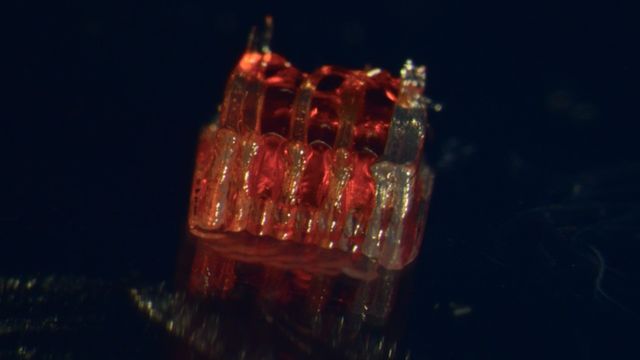 Spinal Cord Injury Treatment Boosted by 3D-Printed Scaffold ...