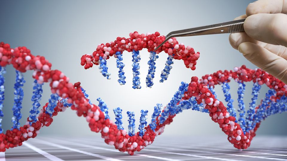 Hepatitis B Gene Therapy Targets Virus at Its Root | Technology Networks