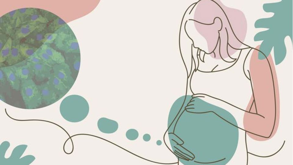 Stem Cells Developed From Full-Term Placenta | Technology Networks