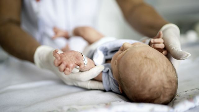 Complement System Identified as Driver of Preterm Birth | Technology ...