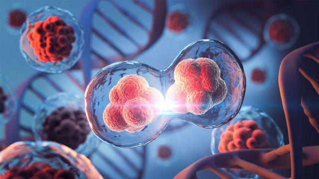 TRIM37 Protein Safeguards Cell Division Accuracy | Technology Networks