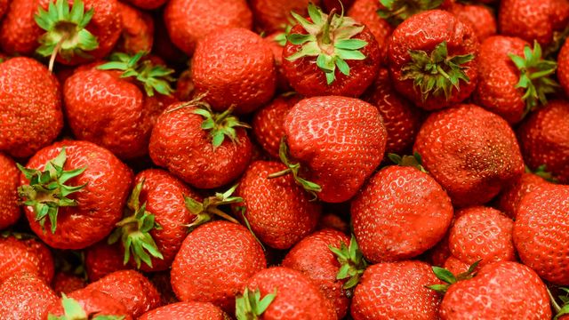 Ai Informed Robot Prototype Can Find Hidden Strawberries Technology Networks