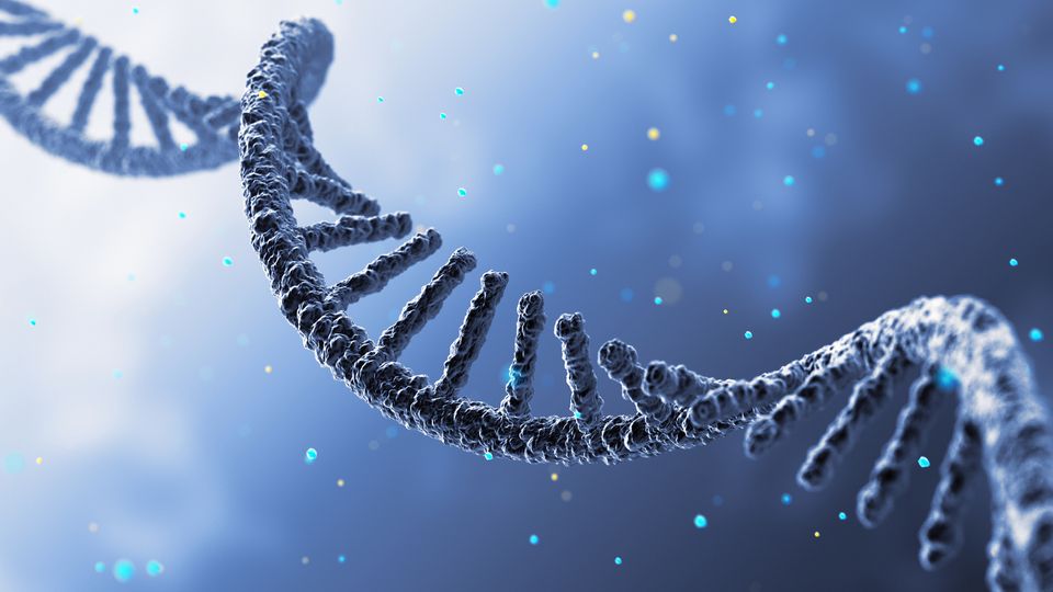 UCLA Tool Reveals How mRNA Stability Affects Disease | Technology Networks