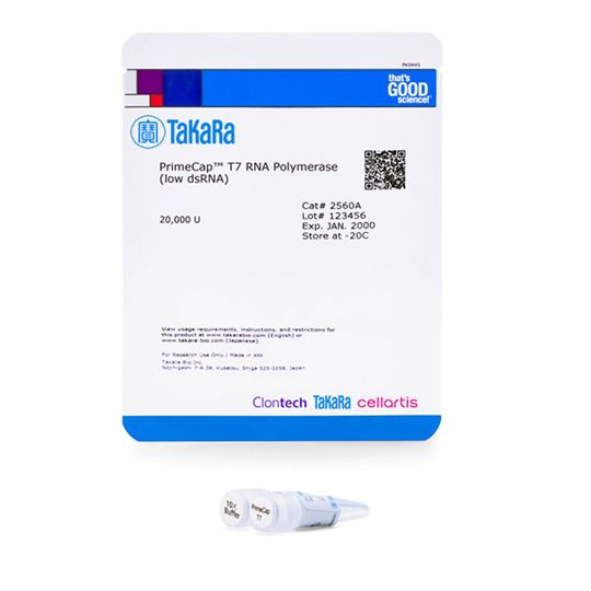 PrimeCap T7 RNA Polymerase – Low dsRNA In Vitro Transcriptio ...