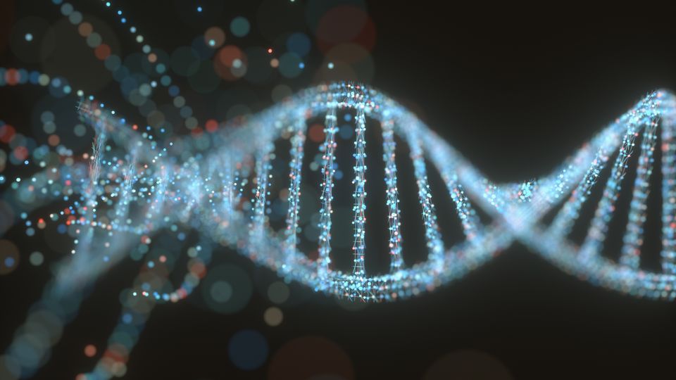 Rare Gene Variant May Contribute to Alzheimer’s Disease | Technology ...