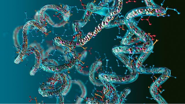 How Amino Acids Stabilize Proteins: New Research Explained | Technology ...