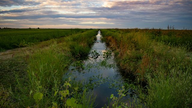 Ditches, When Managed Well, Boost Water Safety and Ecology | Technology ...