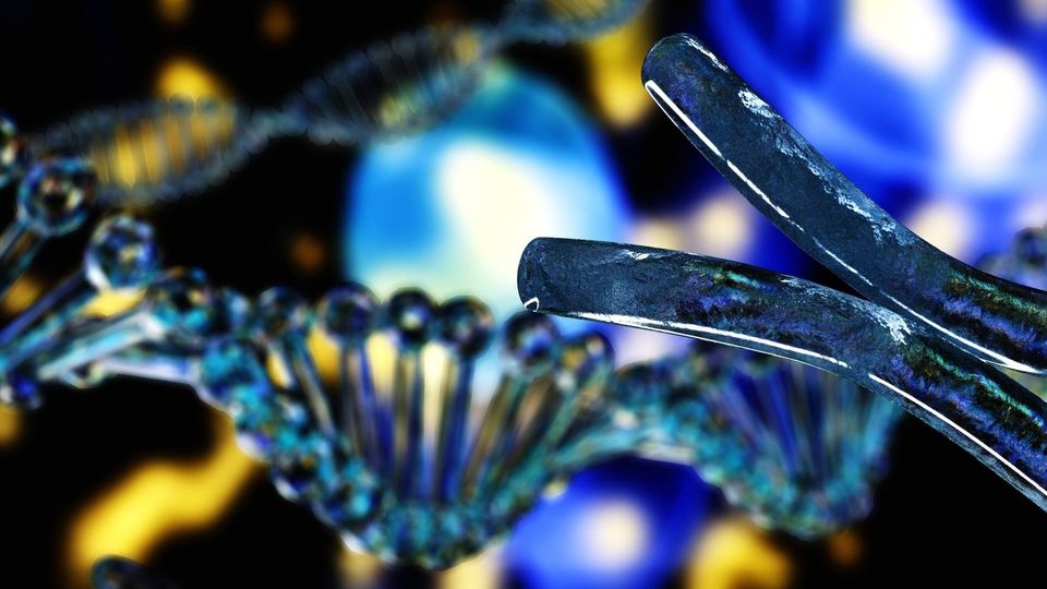 CRISPR Therapy Targets Fatal Childhood Vascular Disorder | Technology ...