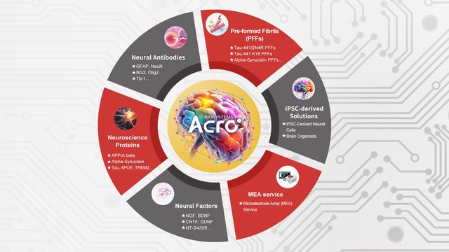 Advance Neuroscience Research with ACROBiosystems' Aneuro | Technology ...