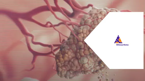 An Introduction to Transfection, Transfection Protocol and Applications | Technology Networks