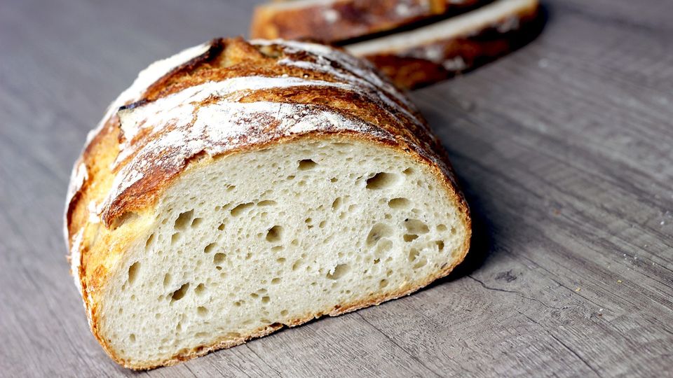AI Designs Microbial Communities for Better Sourdough | Technology Networks