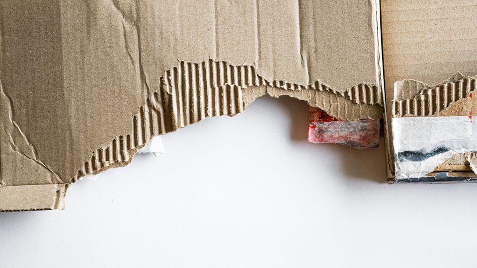 New Material Made From Cardboard and Soil | Technology Networks