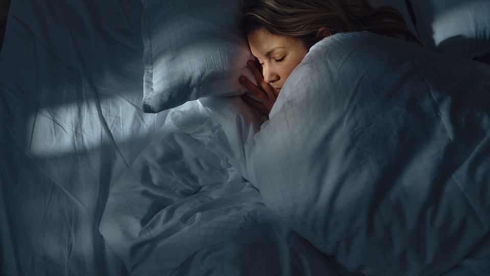 Gut Microbes Found To Help Regulate Sleep Cycles | Technology Networks