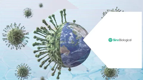 An Introduction to Transfection, Transfection Protocol and Applications | Technology Networks