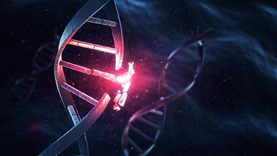 FDA Clears OGT KMT2A Diagnostic for Revuforj | Technology Networks