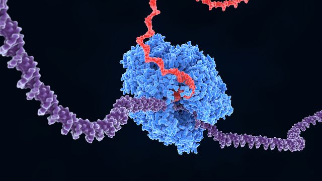 Mapping RNA–Protein Interactions Across the Human Cell | Technology ...