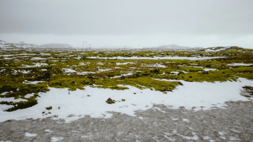 Resurrecting Microbes Trapped in Ancient Permafrost | Technology Networks