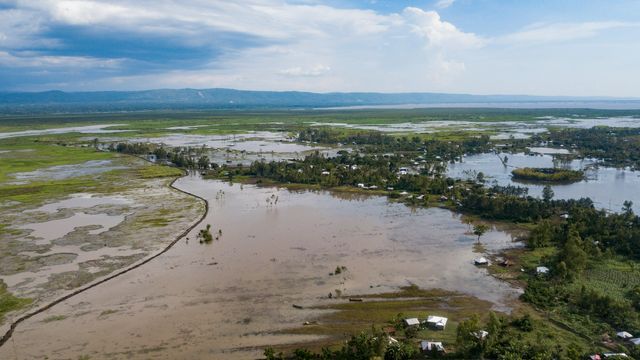 Fewer Trees Means More Floods When Rain Comes | Technology Networks