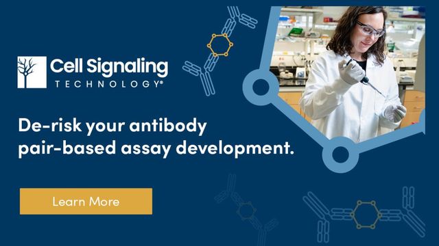 CST® Solutions for Antibody Pair-Based Assay Development | Technology ...