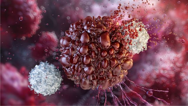 Universal Cancer Therapy Targets Tumors Without Antigens | Technology ...