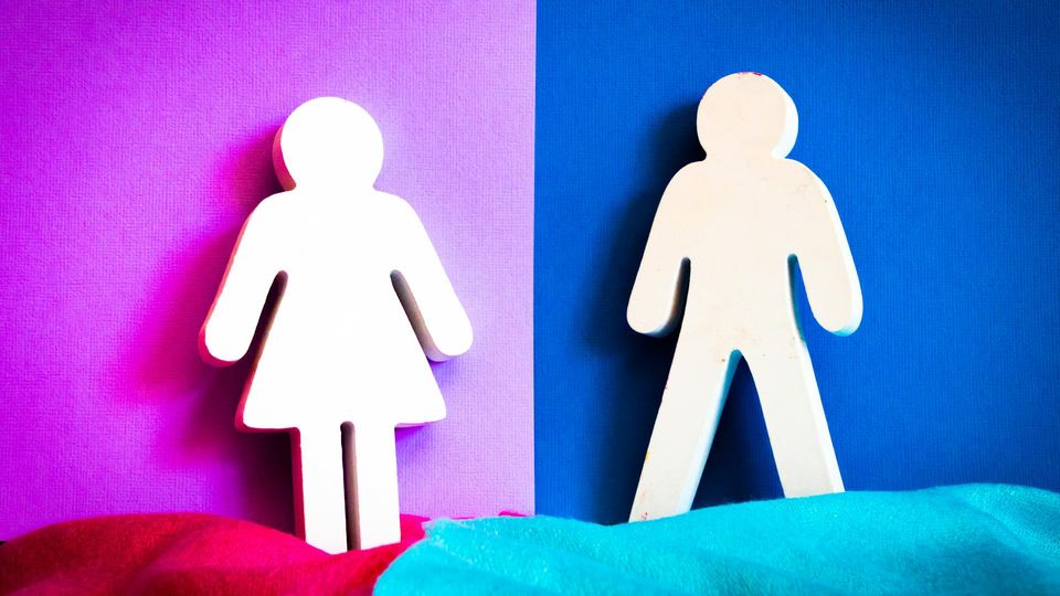 Sex-Based Differences in Immune Response to Nerve Injury | Technology ...