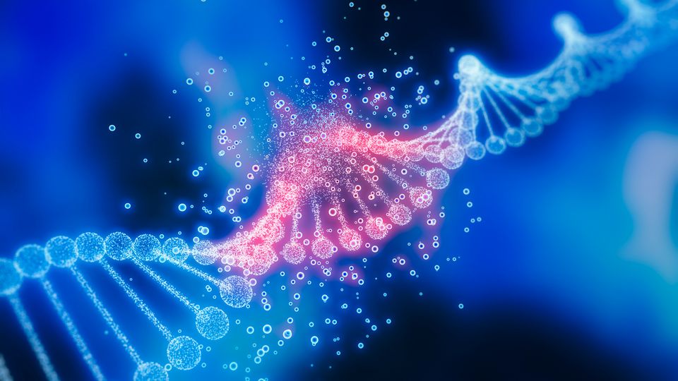 Two Gene Tests Reveal Different Disease Insights | Technology Networks