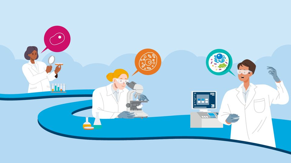 Explore the Evolution of Pesticide Analysis | Technology Networks