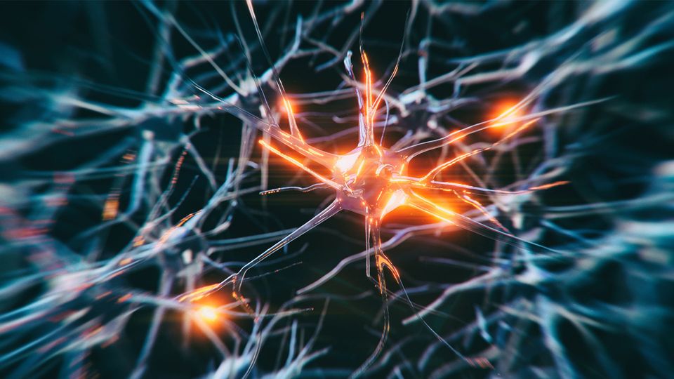 RNA Gene Therapy Reverses ALS Nerve Degeneration in Mice | Technology ...