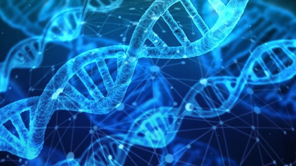 Japan’s 100,000 Genome Project Shares Key Insights | Technology Networks