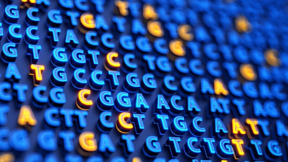 PacBio and Berry Genomics Achieve Clinical NMPA Approval | Technology ...