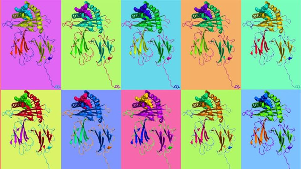 ProImmune Launches ProVE SL Self-Loading MHC Monomers | Technology Networks