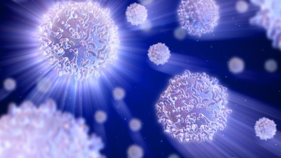 ScaleReady Awards G-Rex Grant to Sonoma Biotherapeutics | Technology Networks