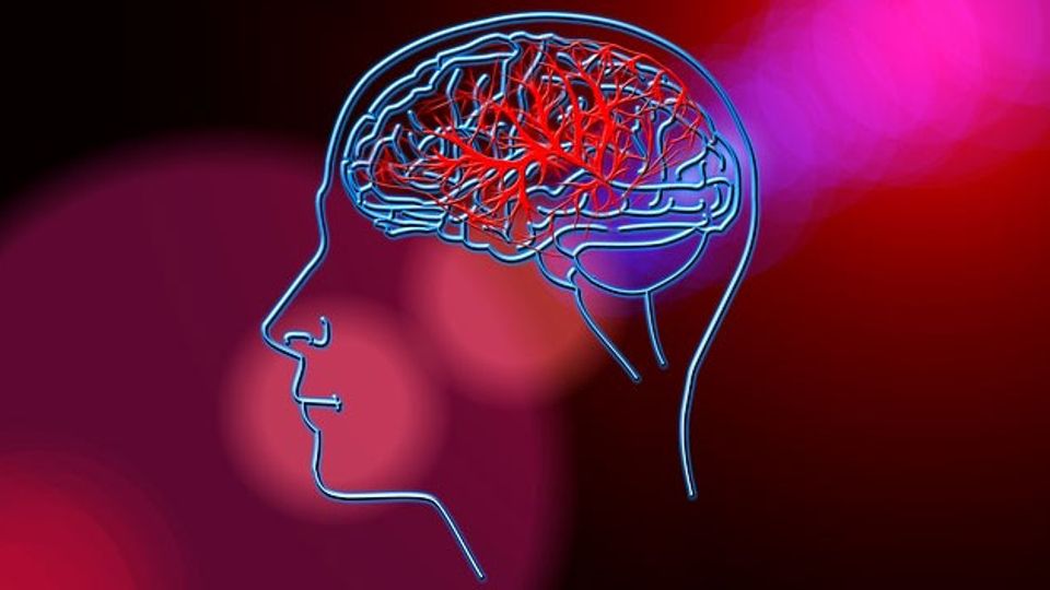 Key Neurons Lost to Stress Impair Brain Blood Flow | Technology Networks