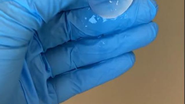 Bacterial Spores for Sustainable Smart Materials | Technology Networks