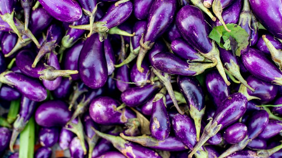 Global Map of Eggplant Genes Unlocks Key Crop Traits | Technology Networks