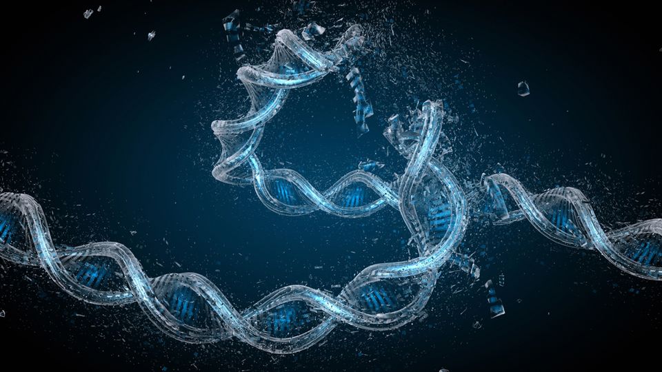 DNA Damage Sensor Tracks Repair in Real Time | Technology Networks