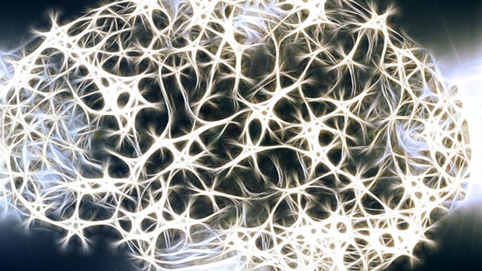 Astrocyte Activation Halts Alzheimer’s Cognitive Decline | Technology ...