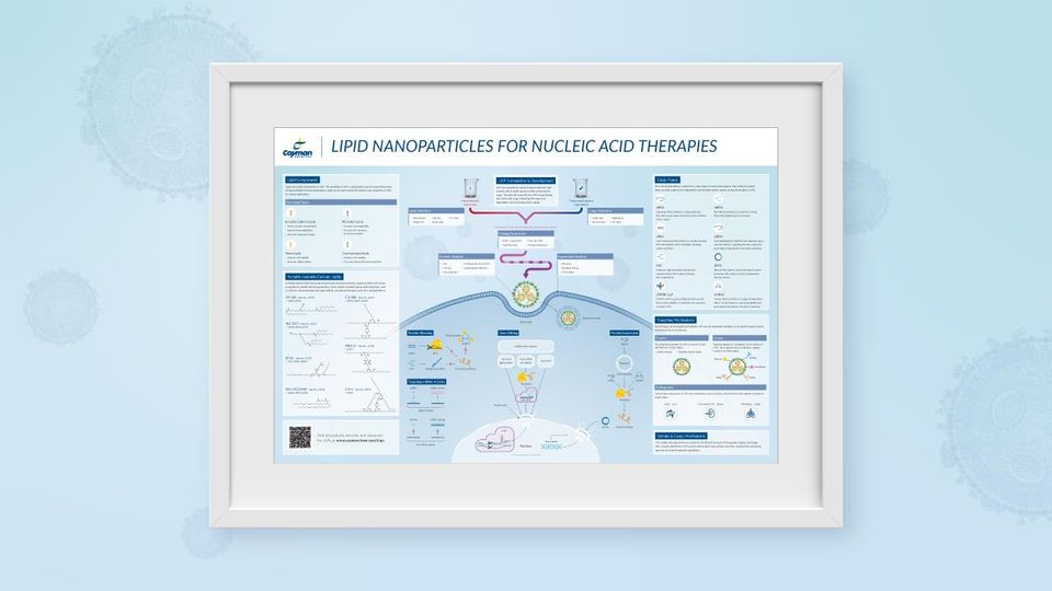 Advancing Delivery for Nucleic Acid Therapies | Technology Networks