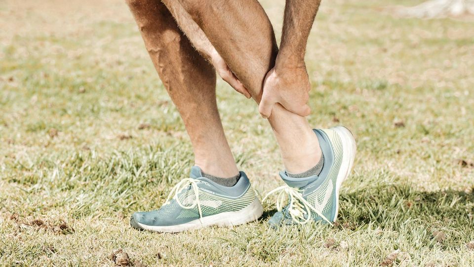 Macrophages Speed Muscle Repair | Technology Networks