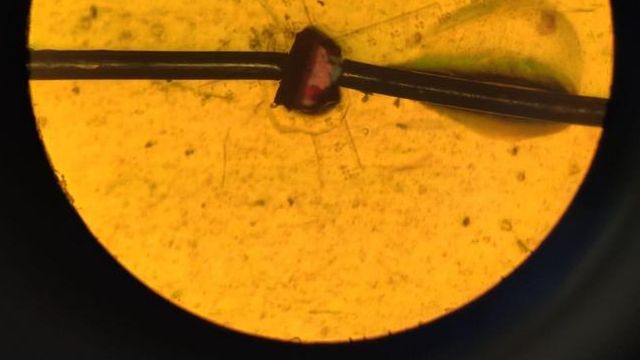 Scientists Develop Lead-Free Piezoelectric Material | Technology Networks