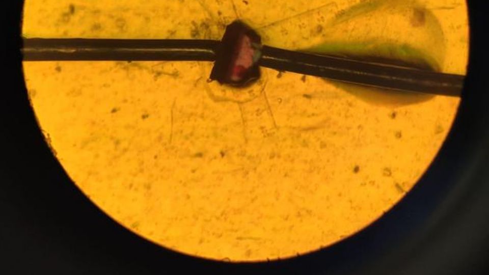 Scientists Develop Lead-Free Piezoelectric Material | Technology Networks